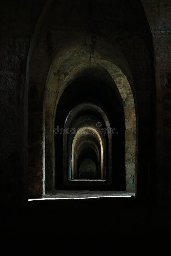 Underground Stone Canal with Tree Roots Running through the Walls Stock ...