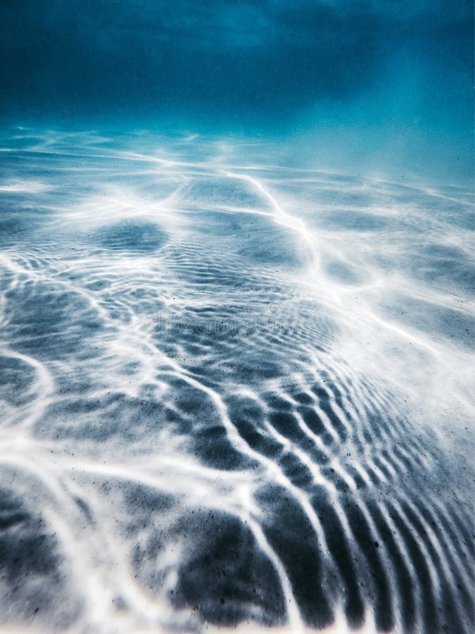 View Underwater with Sunlight Reaches the Bottom Surface - Copy Space ...