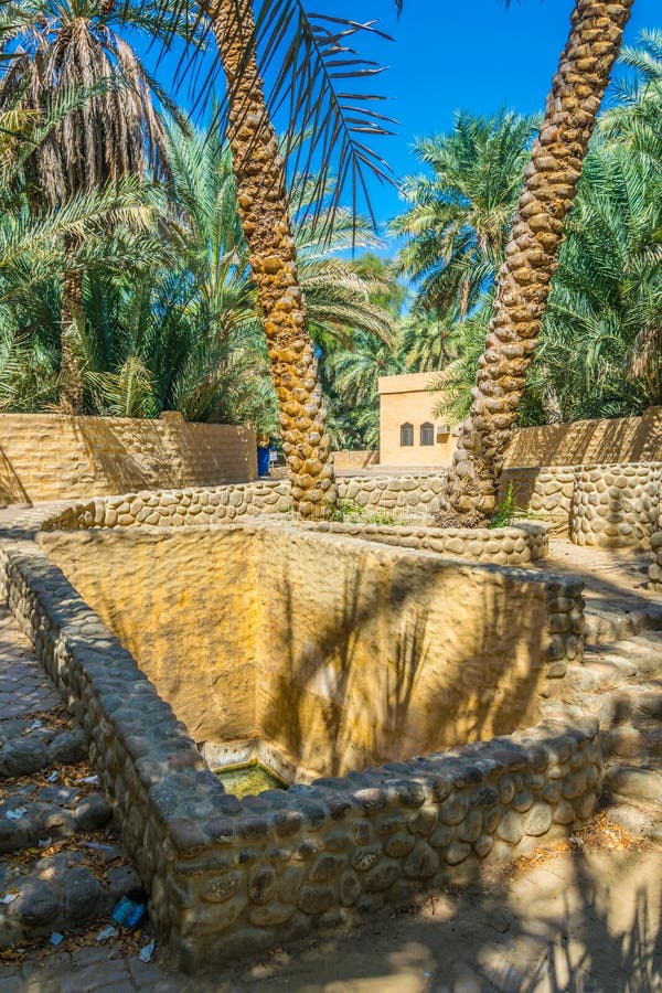 View of the Unesco Enlisted Oasis in Al Ain, UAE Stock Photo - Image of ...