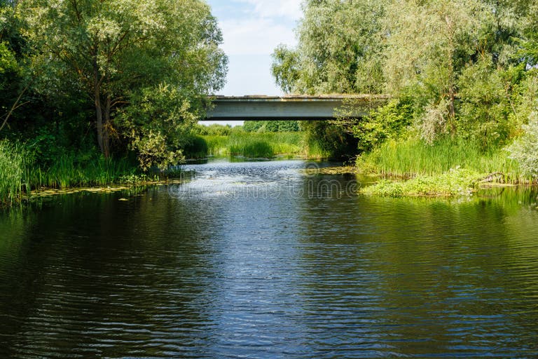 A View of the Unfinished Bridge Over the River, Overgrown with Trees ...