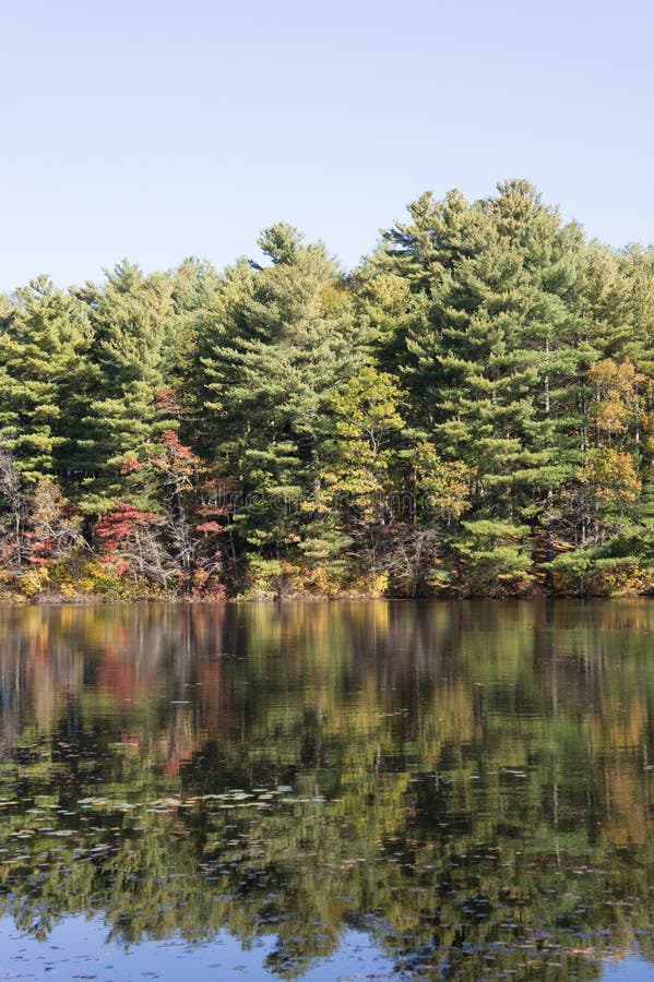 Leach Pond Borderland State Park Stock Photos - Free & Royalty-Free ...