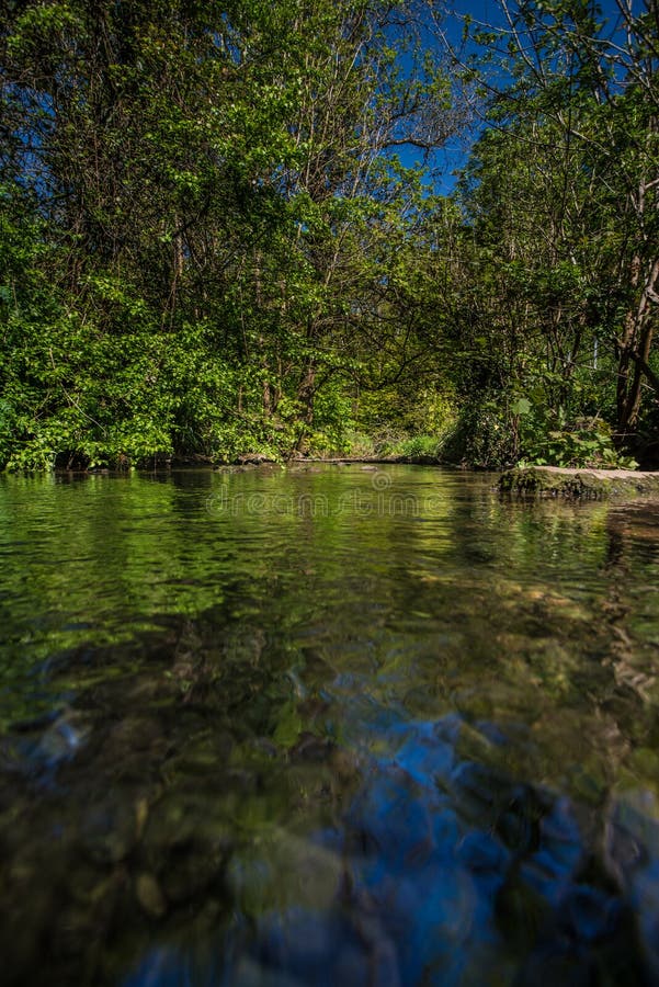 View Upstream Running Water Trees Stock Photo - Image of clear ...