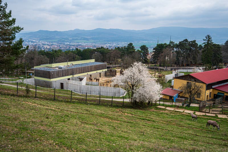 View of Valley Above Zoo with Animals Stock Photo - Image of animals ...