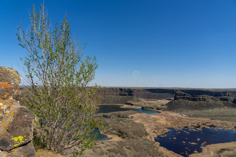 View of Valley and Cliffs from the Dry Falls Visitor Center in ...
