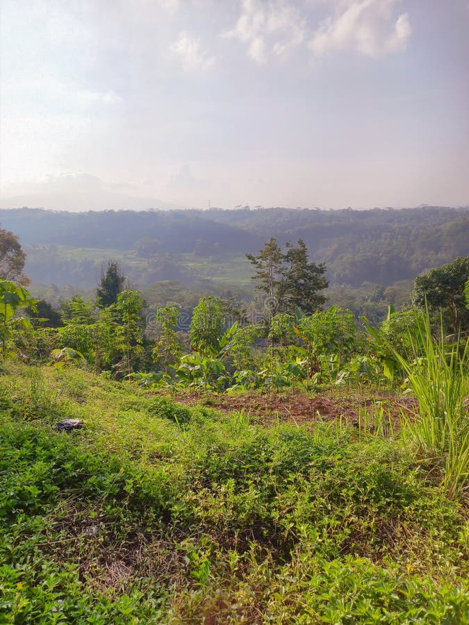 View of the Valley between Two Hills. Stock Photo - Image of flower ...