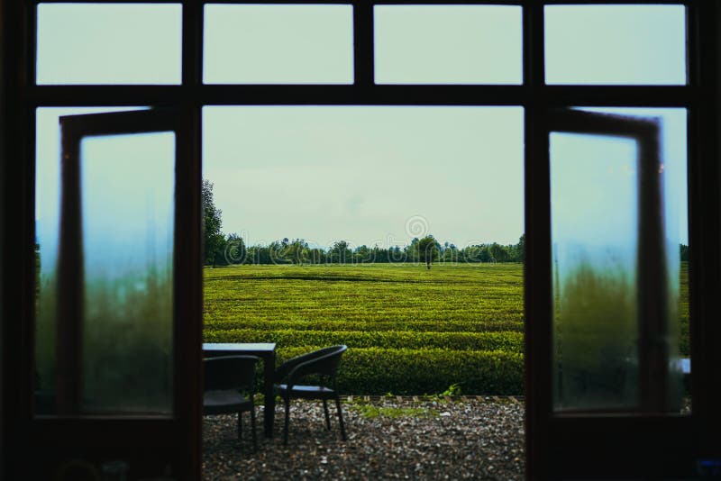View of a Vast Green Field through the Glass Doors. Stock Photo - Image ...