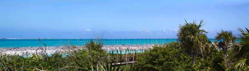 View through the Vegetation on the Azure Sea. Panorama. Stock Photo ...