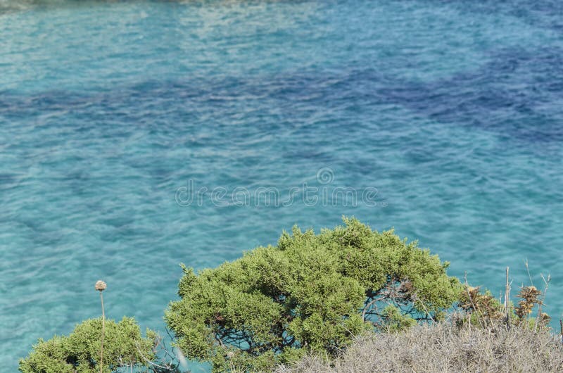Mediterranean Scrub In Spring With The Sea In Distance To The Island Of ...