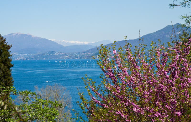 View of Verbania landscape stock image. Image of spring - 30678565