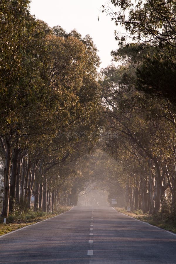 Long straight road stock image. Image of view, algarve - 105998087