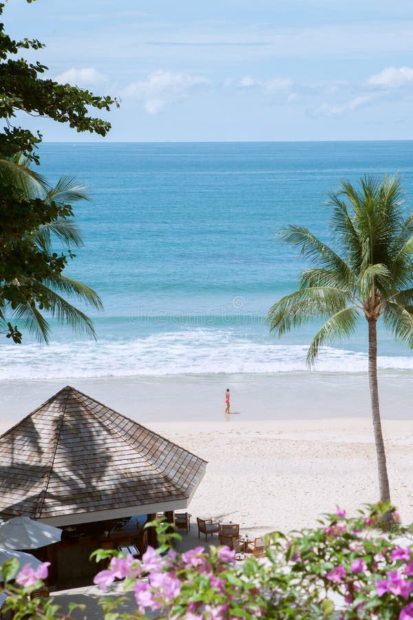 Nice Tropical Beach with Some Palms Stock Image - Image of plage, ocean ...
