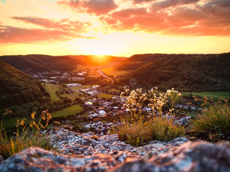 View from an Viewpoint during Sunset Stock Image - Image of blossom ...