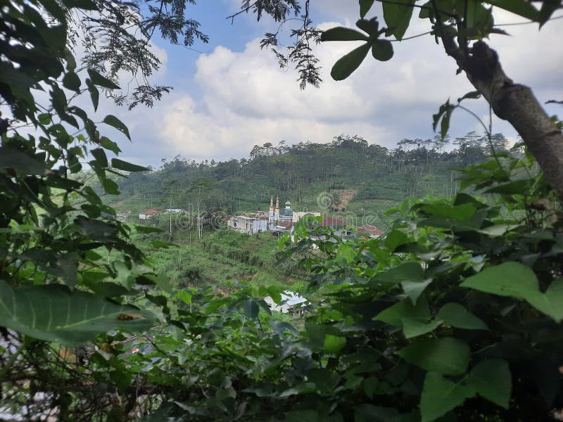 View of the Village from Behind the Leaves Stock Image - Image of view ...