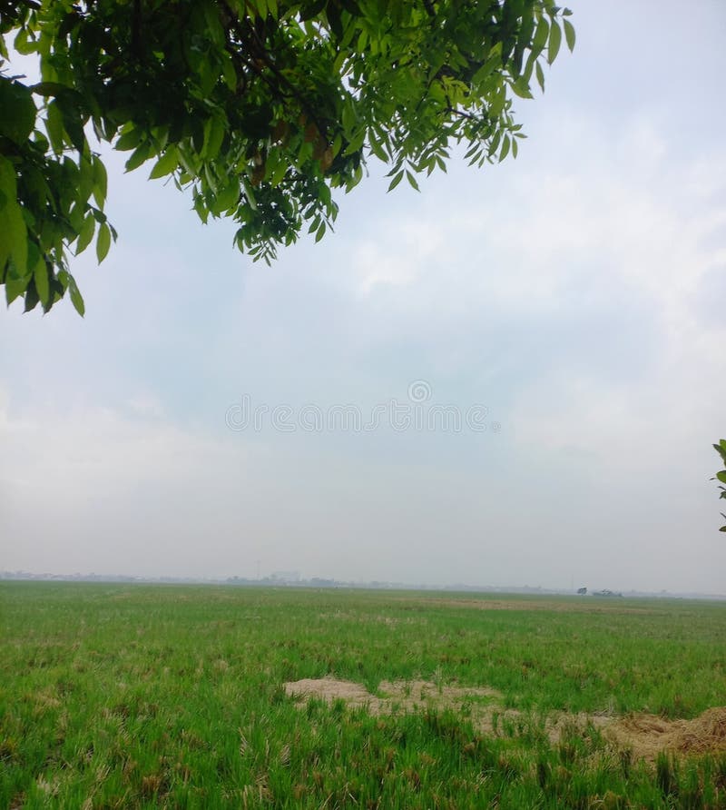 The View of the Village Can Be Seen on a Clear Morning Stock Image ...
