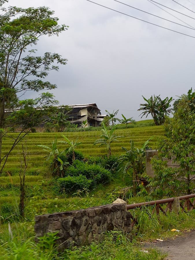 View in a Village at Noon Trawas Indonesia Stock Image - Image of ...