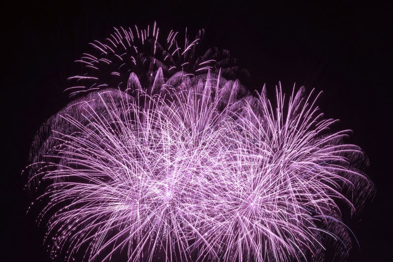 View on Violet Fireworks in Night Sky Stock Photo - Image of ...