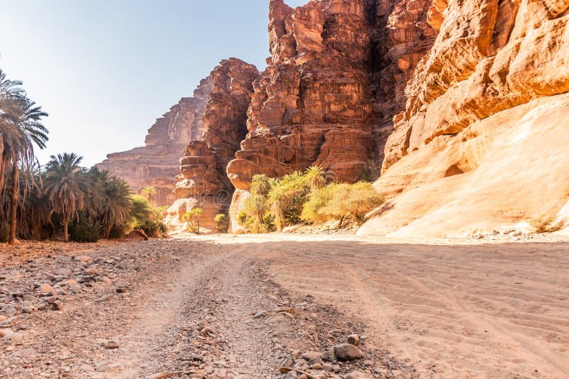 View of Wadi Disah Canyon, Saudi Arab Stock Photo - Image of desert ...