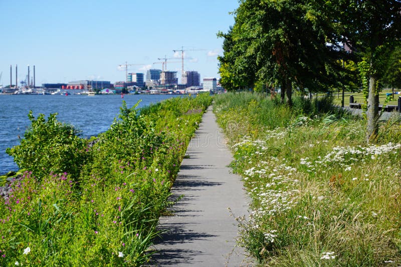 View of a Walk Path Next To a River Stock Image - Image of river ...