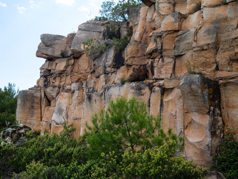 View on a Wall of Rocks on a Mountain Surrounded by Trees Stock Photo ...
