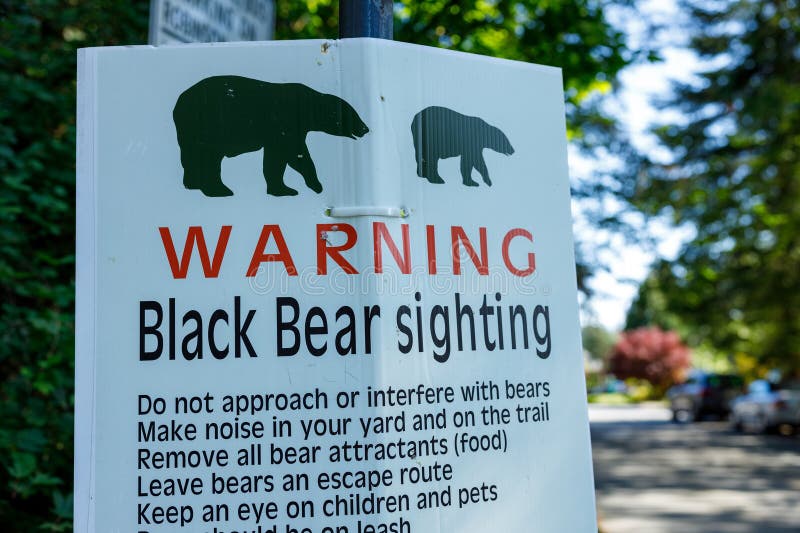 View of Warning Sign Black Bear Sighting Stock Photo - Image of animal ...