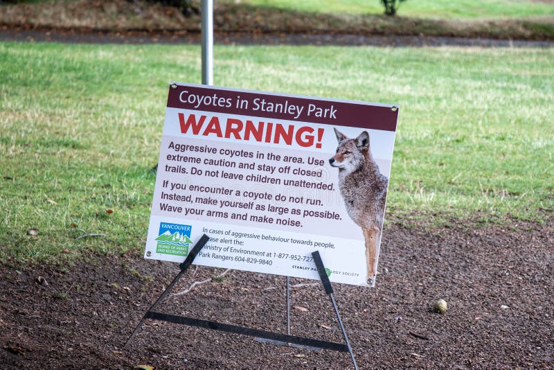 View of Warning Sign Coyotes in Stanley Park Following Attacks by ...