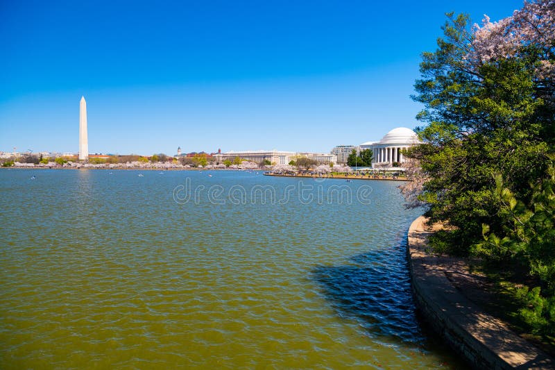 View of the Washington Monument, Tidal Basin and Cherry Blossom Trees ...
