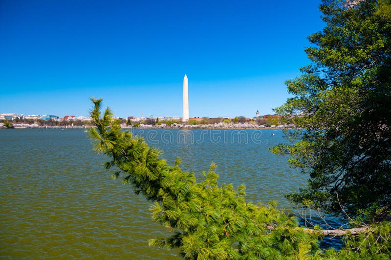 View of the Washington Monument, Tidal Basin and Cherry Blossom Trees ...