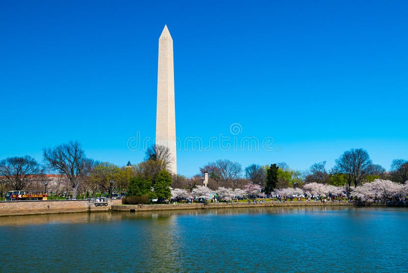 View of the Washington Monument, Tidal Basin and Cherry Blossom Trees ...