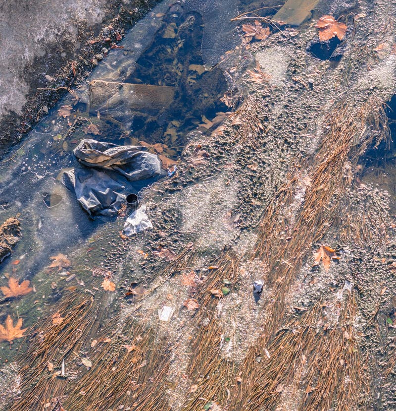 View of Wastewater, Pollution and Garbage in a Canal Stock Image ...
