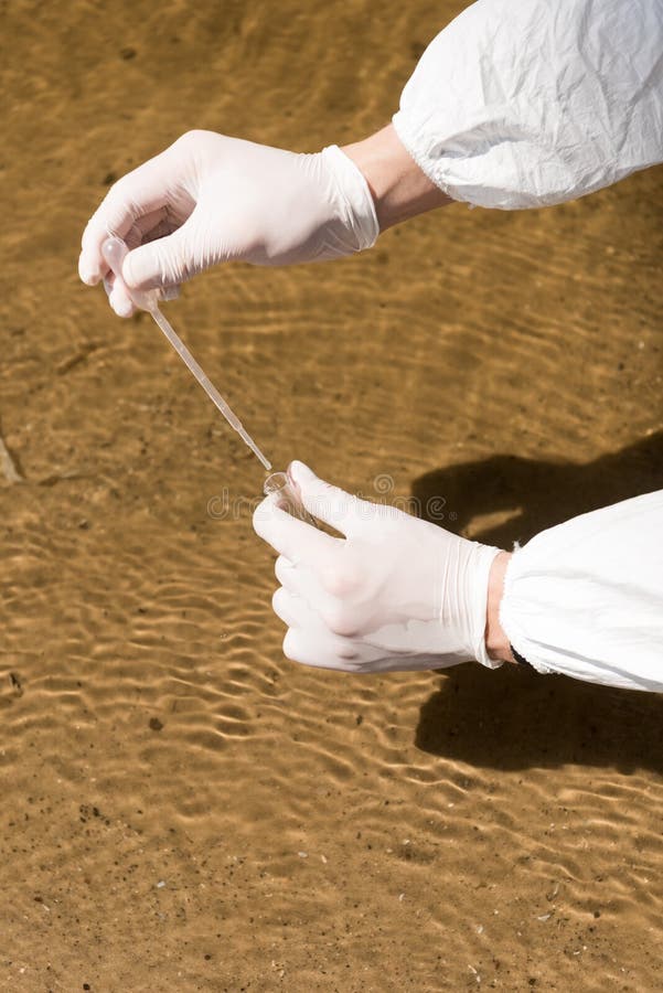 View of Water Inspector in Latex Gloves Taking Water Sample at River ...