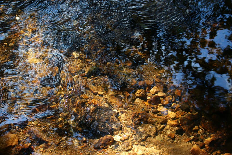 View of the Water in a Stream with a Beautiful Rocky Bottom in Shallow ...