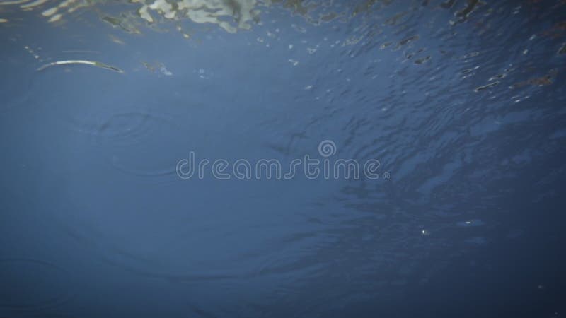 View on Water Surface with Flicker Stock Footage - Video of outdoor ...