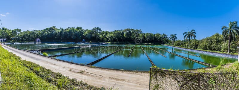 A View of a Water Treatment Facility on Roatan Island Stock Image ...