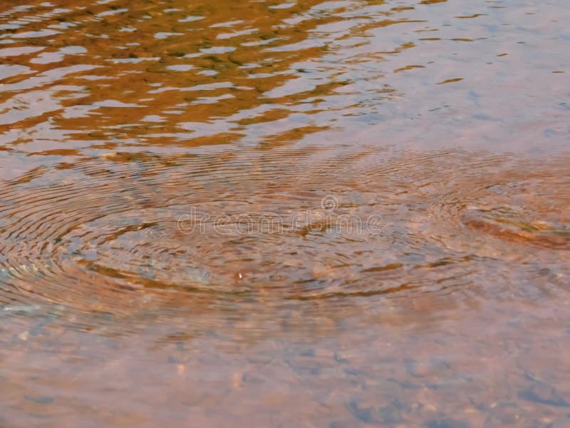 View of Water and Waves in a Pond Stock Photo - Image of texture, beach ...
