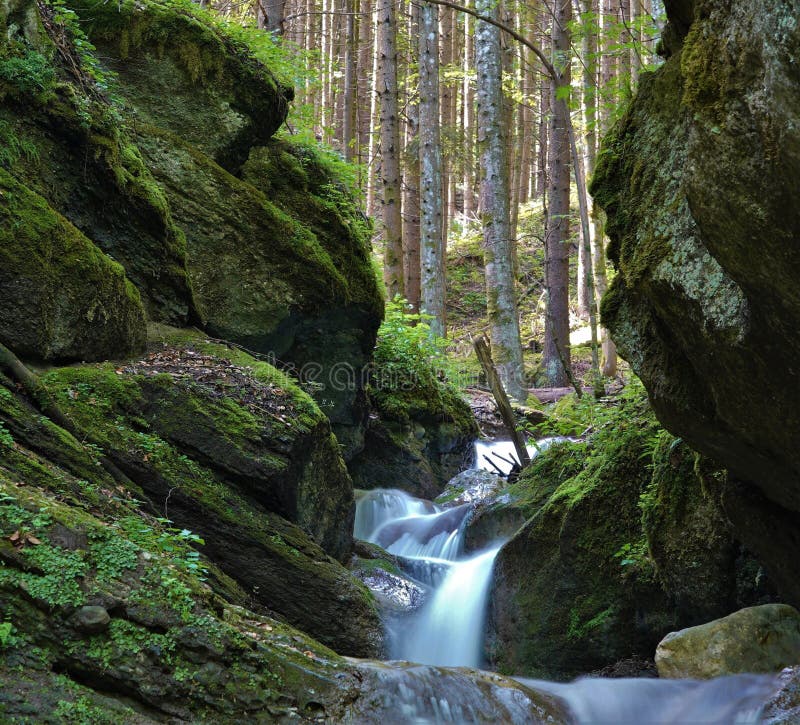View of a Waterfall between Mossy Rocks in Gorge on Tall Trees ...
