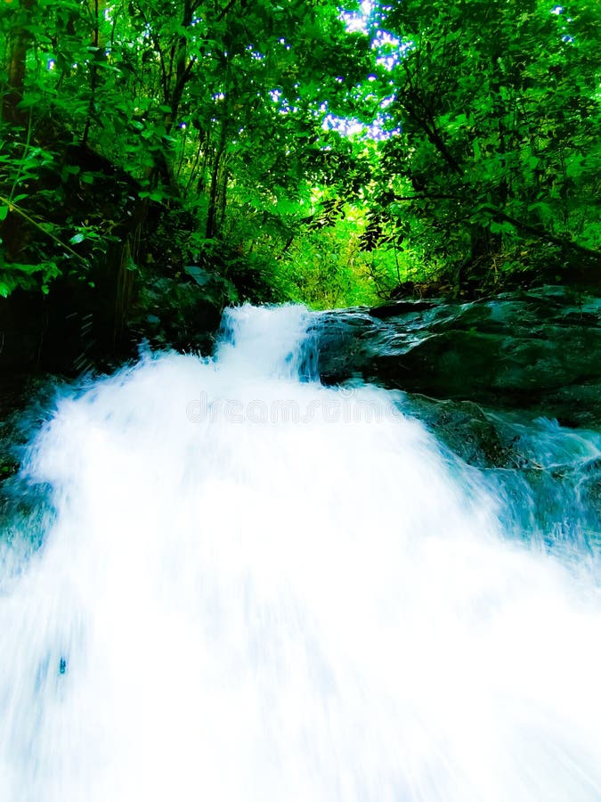 The View of the Waterfall Over the Rocky Mountains and Green Trees ...