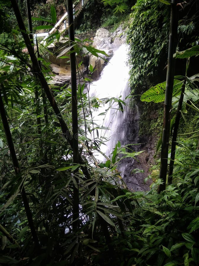 View of the Waterfall from the Side Stock Photo - Image of tree, side ...