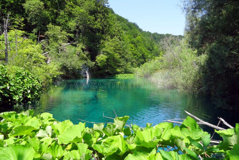 Waterfall and lake stock image. Image of fresh, environment - 111992649