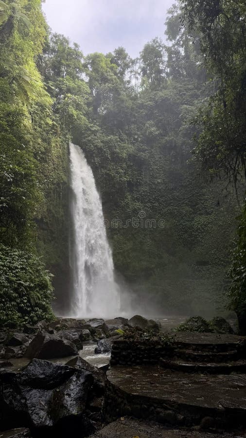 View of the Waterfalls on the Island of Bali Stock Photo - Image of ...
