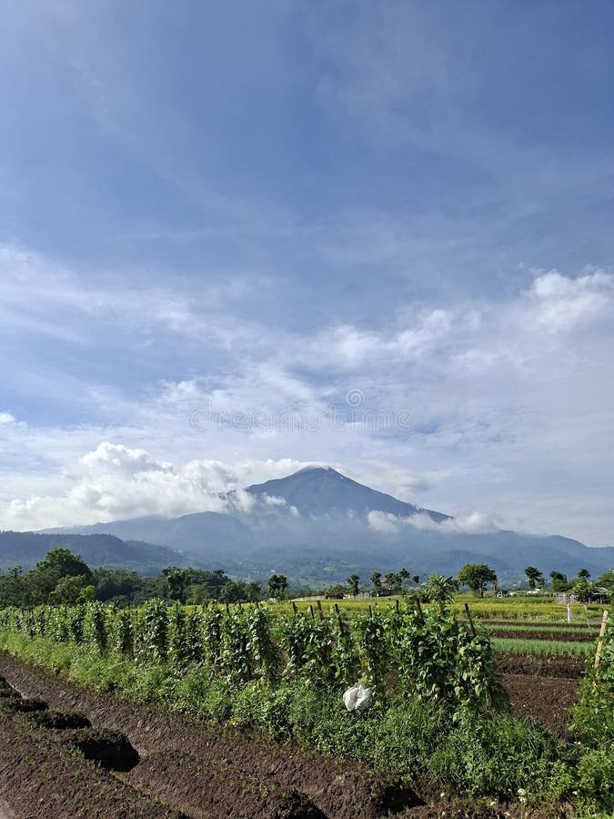 View of Welirang Mountain in Pacet, East Java Stock Image - Image of ...