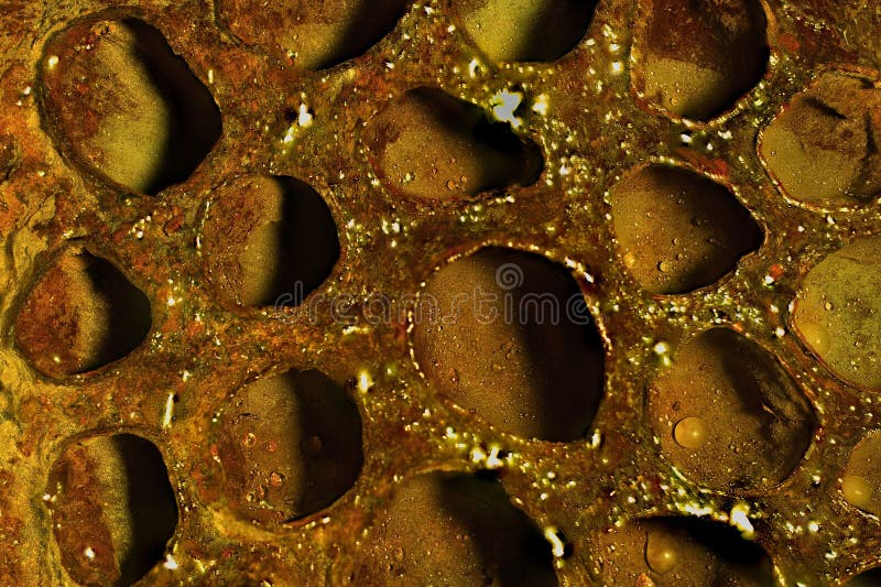 View of a Wet Metal Structure with Corroded Patches and Openings Stock ...