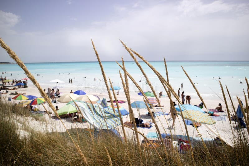 View of the White Beaches of Vada in Rosignano Italy Editorial Image ...