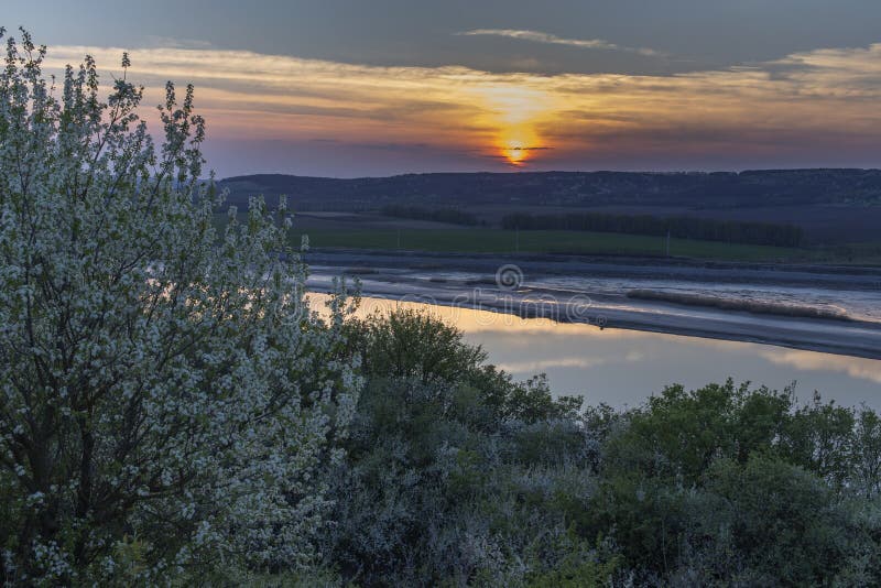View with a white shrub stock image. Image of blossoming - 183051973