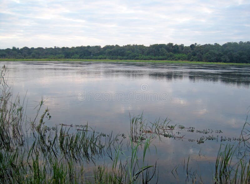 WIDE RIVER KAVANGO RIVER with GRASS at the SIDE Stock Photo - Image of ...