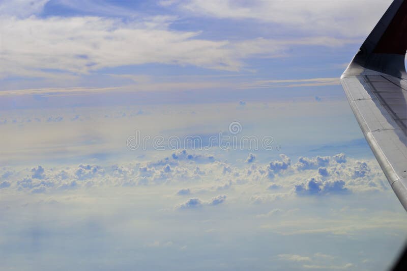 Cluster Fly Window Stock Photos - Free & Royalty-Free Stock Photos from ...