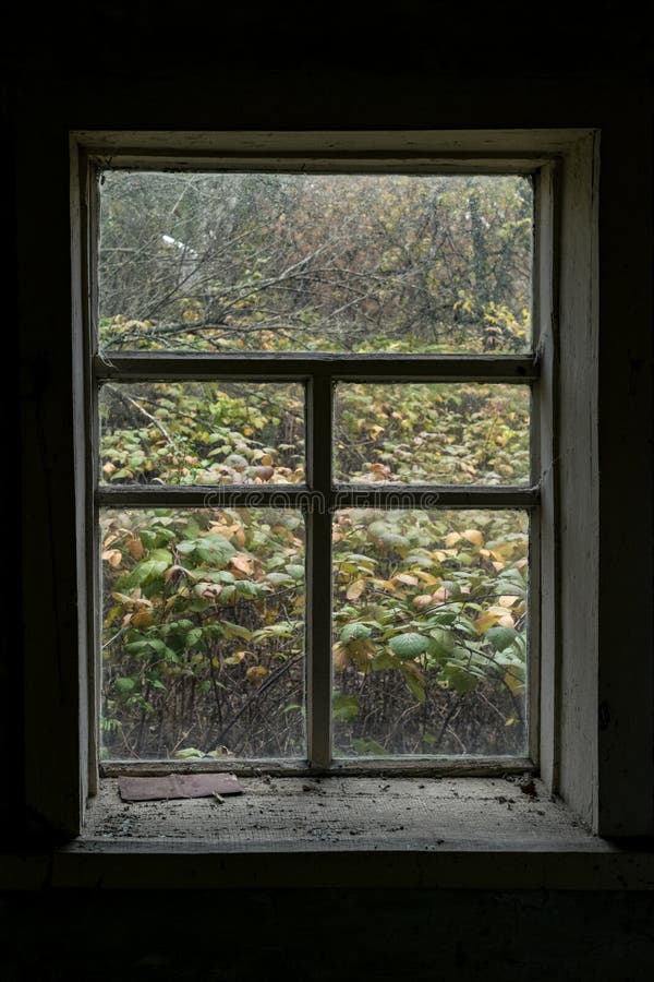 View from the Window on the Autumn Courtyard Stock Photo - Image of ...
