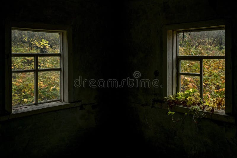 View from the Window on the Autumn Courtyard Stock Image - Image of ...