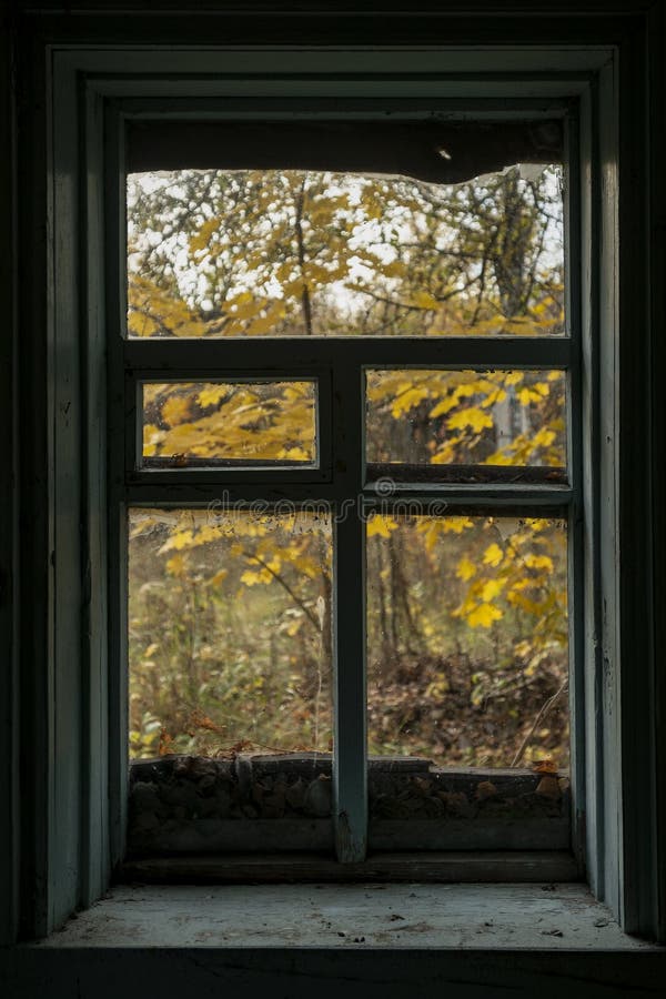 View from the Window on the Autumn Courtyard Stock Photo - Image of ...