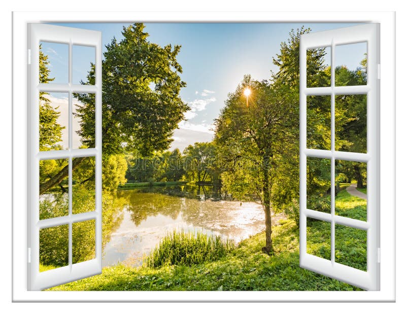 Views of the pond stock image. Image of nature, beautiful - 193197361