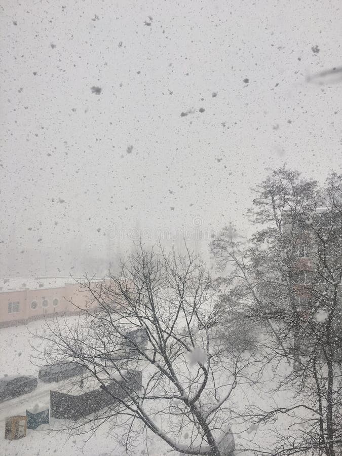 View from the Window on a City Street Covered with Snow during Heavy ...